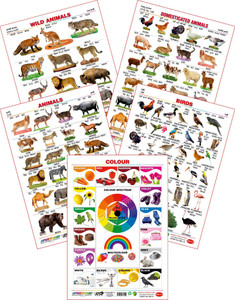 Spectrum Set of 5 Educational Large Wall Charts : ( Wild Animals ...