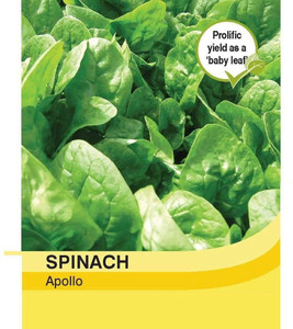 WILLVINE ™Vegetables - Spinach Apollo - Seed Seed Price in India - Buy ...