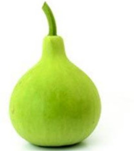 jaishreeradhe Gol Ghiya, Bottle Gourd, Loki Seed Price in India - Buy ...