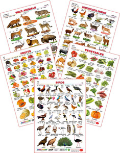 Spectrum Set of 5 Educational Large Wall Charts : ( Wild Animals ...