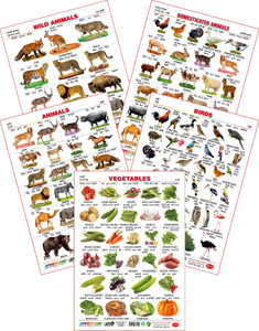 Spectrum Set of 5 Educational Large Wall Charts : ( Wild Animals ...
