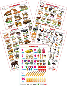 Spectrum Set of 5 Educational Large Wall Charts : ( Wild Animals ...