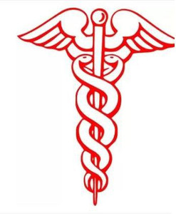 Aleena Care Sticker & Decal for Car & Bike Price in India - Buy Aleena ...