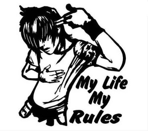 Aleena Care Sticker & Decal for Car & Bike Price in India - Buy Aleena ...