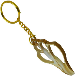 AFH Shankh (Conch) Brown Shade Natural Decorative Key Chain Key Chain ...