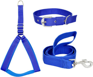 BODY BUILDING Dog Belt Combo of 1 inch Nylon Padded Blue Dog Body ...