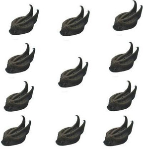 Alberts Bat Head Root Seed Price in India - Buy Alberts Bat Head Root ...