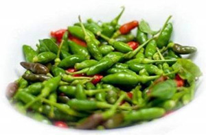 YOUNG STAR HYBRID FARMER CHOICE F1 MIX CHILLI(MIRCH) SEED Seed Price in ...