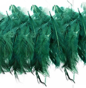 Adhvik Natural Dyed Green Multi-Purpose Craft Feathers (Approximately ...