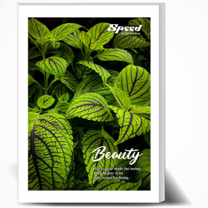 SPEED 268 Pages Semi Rough A4 Note Book | Pack of 6 | Single Line Ruled ...