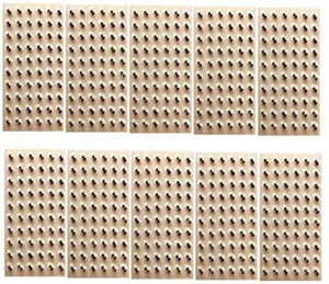 AccuAlleve Bead Therapy Acupuncture Bead Therapy Ear Vaccaria Seeds ...