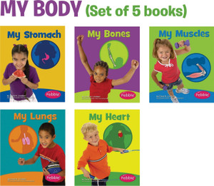 MY BODY (A SET OF FIVE BOOKS) : My Stomach, My Muscles, My Bones, My ...