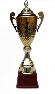 Be Win STUDENT AWARD TROPHY / TEACHERS AWARD TROPHY / BRILLIANT STUDENT ...