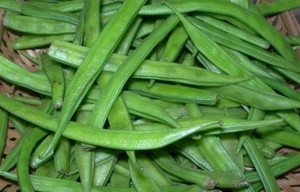 Aywal Cluster Beans (Gawar, Guar Phalli, Goru Chikkudu, Kothavara) Seed ...