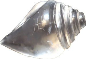 RUDRAZONEUN 100 % Original Crystal Glass Shankh For Pooja, Decorative ...