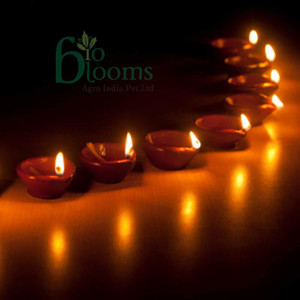 BIO BLOOMS Mud Clay Designer lamp for Temple Pooja, puja and Home ...