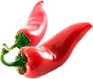 Antier CHILLI Seed Price in India - Buy Antier CHILLI Seed online at ...