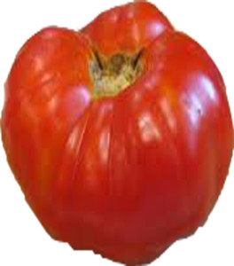 Sjeme Pantano Romanesco tomato seeds Seed Price in India - Buy Sjeme ...