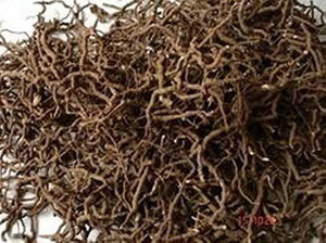 Urancia Ganthoda Piparamul Pipramul Piparamool Piper longum 100g Seed ...