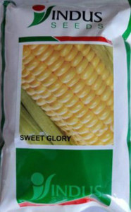 Indus Sweet corn seed Seed Price in India - Buy Indus Sweet corn seed ...