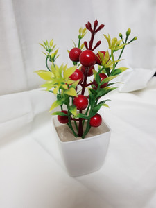 perfect point PP Red Angoor Green Petals Wild Artificial Plant with Pot ...