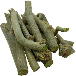 Biosnyg Giloy Plant/Guduchi/Guruch Fresh Stems (6-Inch) 5 Seeds Seed ...