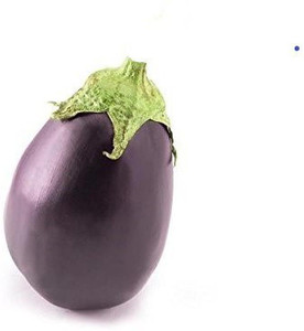 YOUNG STAR BG1 BRINJAL Seed Price in India - Buy YOUNG STAR BG1 BRINJAL ...