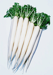 Sjeme Radish April Cross radish seed Seed Price in India - Buy Sjeme ...