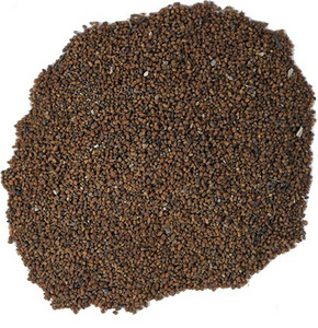 VINAYAK HERBAL Kalmegh seed Seed Price in India - Buy VINAYAK HERBAL ...