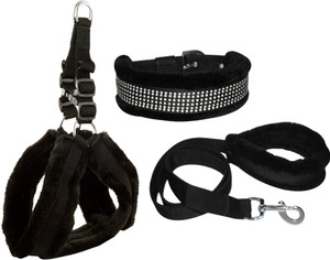 BODY BUILDING Dog Belt Combo of 1 inch Feather Padded Black Dog Body ...