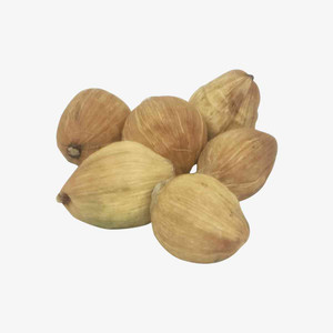 DEV RATNA KENDRA SHREE PHAL / LAGHU NARIYAL Decorative Showpiece - 2 cm ...