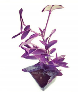 GUTI MOHOR Zinnias Plant Price in India - Buy GUTI MOHOR Zinnias Plant ...