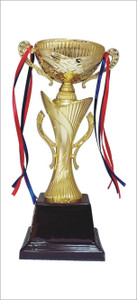 DELTA Gold Cup Award Trophies Small Size (9.75 inch) with Plastic Bowl ...