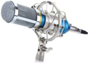 GUGGU UTA_624D BM 800 Mic Sound Studio Recording Dynamic Professional ...