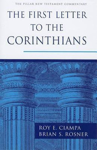The First Letter to the Corinthians: Buy The First Letter to the ...