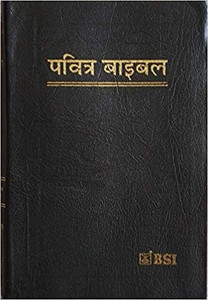 Hindi Bible Old And New Testament (Pavitra Bible): Buy Hindi Bible Old ...