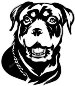 Aleena Care Sticker & Decal for Car Price in India - Buy Aleena Care ...