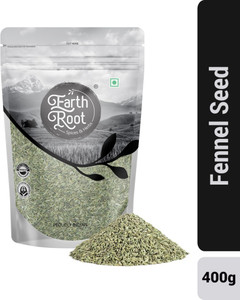 EARTHROOT Natural Whole Fennel Seed | Variyali | Saunf | Sauf (400g ...