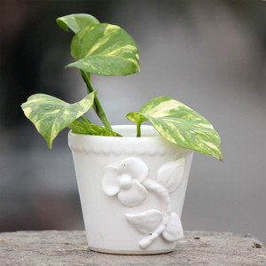 Brahmz Ceramic Pipe Glass with Flower P-lanter Colored Flower Pot 4 ...