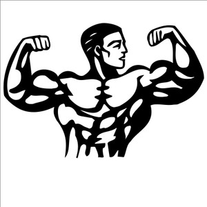 StickerYard 35 cm Body builder gym Self Adhesive Sticker Price in India ...