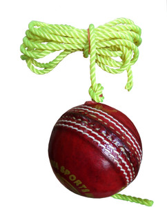 WILLAGE hanging ball for cricket practice , hanging ball cricket ...