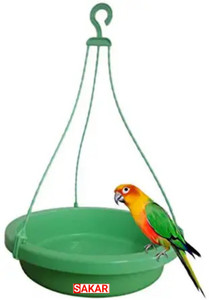 Organik Hanging Water Pot for Birds For Home and Garden Window Bird ...