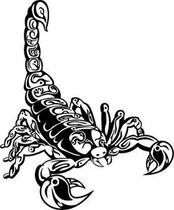 KICKWIX Sticker & Decal for Car & Bike Price in India - Buy KICKWIX ...