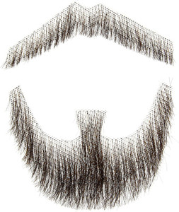 Ritzkart Human Men's Artificial Beard and Mustache for Acting/Modeling ...
