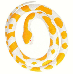 WILD REPUBLIC 20769 Albino Python Rubber Snake 46 Inches - 20769 Albino ...