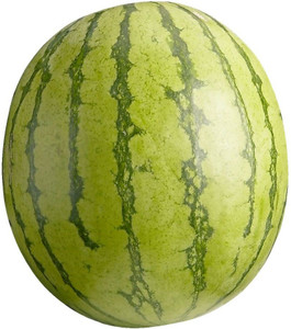 XOLDA Watermelon Seed Price in India - Buy XOLDA Watermelon Seed online ...