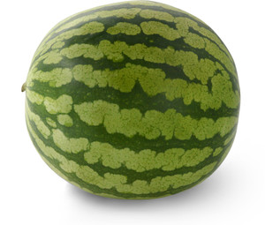 Paudha Watermelon Seed Price in India - Buy Paudha Watermelon Seed ...
