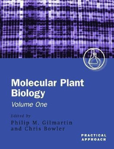 Molecular Plant Biology Vol 1 1st Edition: Buy Molecular Plant Biology ...