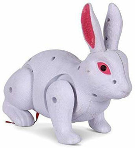 Maa impex Battery Operated Action Bunny Rabbit with Light and Sound for ...