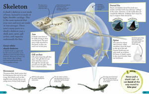 DKfindout! Sharks: Buy DKfindout! Sharks by DK at Low Price in India ...